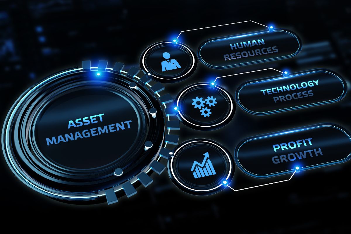 Asset management: como funciona a gestão de ativos | Nova Futura